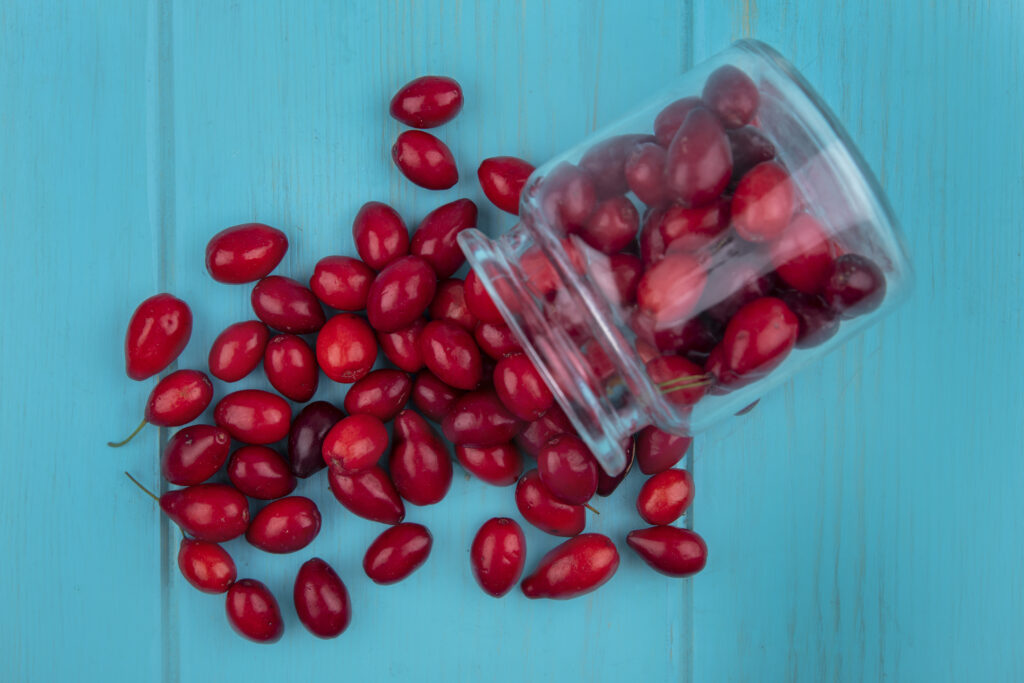 Why Mitolyn is the Best Schisandra Supplement? - Nutri Active